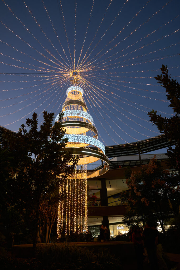 LA PERLA : A SPECTACULAR TREE IN MEXICO - Blachere Illumination